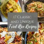 17 Classic and Unique Fried Rice Recipes - Wok & Skillet