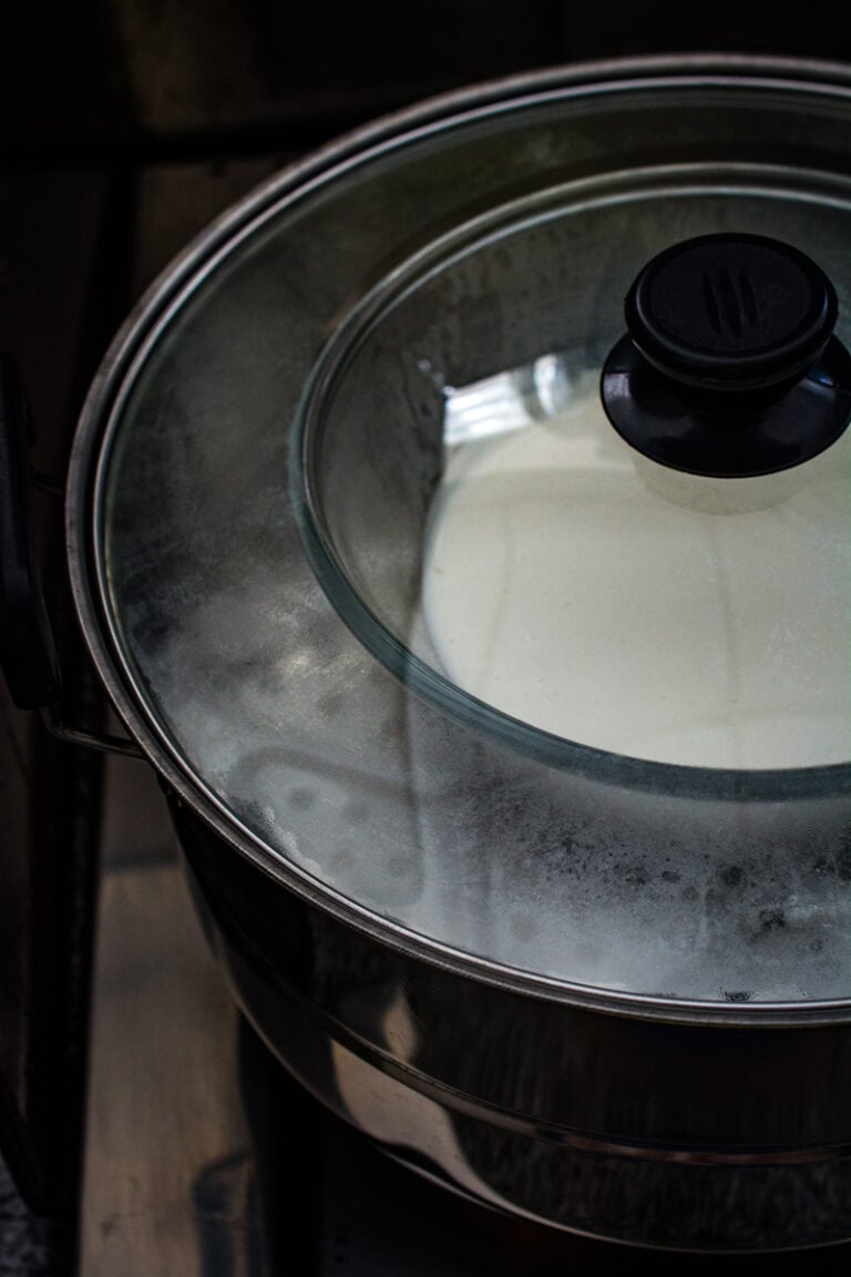 Easy Muah Chee (Chinese Peanut Mochi) Steamer or Microwave - Wok & Skillet